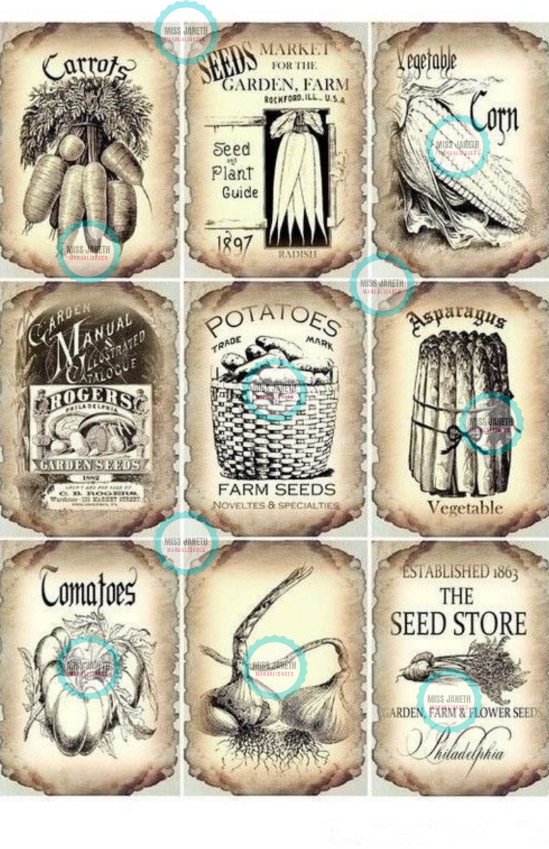 C38 – Miss Janeth Manualidades